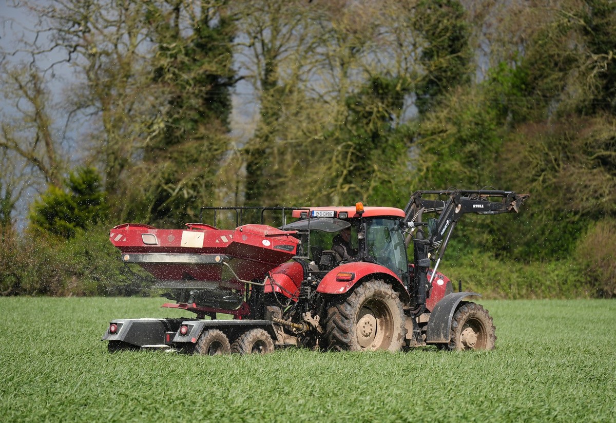 Írsky farmár na svojom poli náhodou našiel 4-tisíc rokov starý „poklad ...
