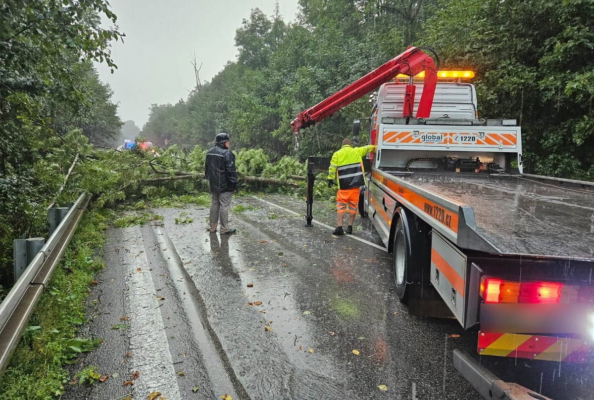 Vietor spôsobil na Orave výpadky elektriny. Bez energie je vyše tisíc odberných miest | TVNOVINY.sk