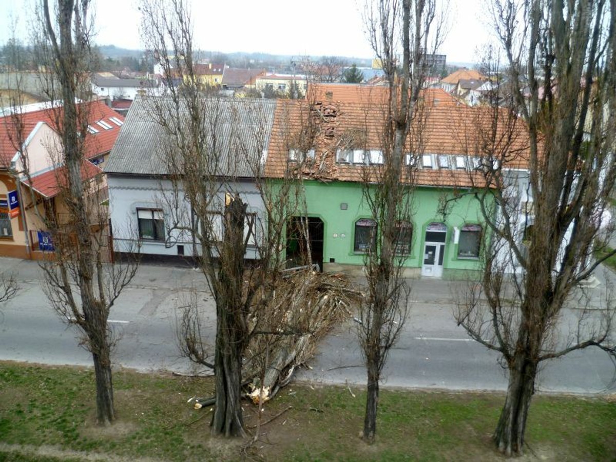 Slovensko bičuje silný vietor. Vyvracia stromy, odfukuje strechy | TVNOVINY.sk