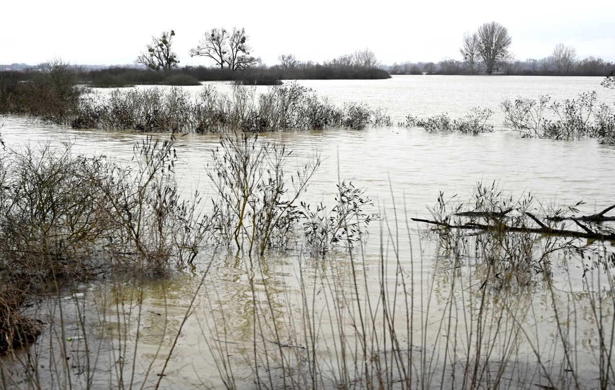 Zatvorené hranice: Vysoká voda na rieke Morava sa po výdatných dažďoch ...