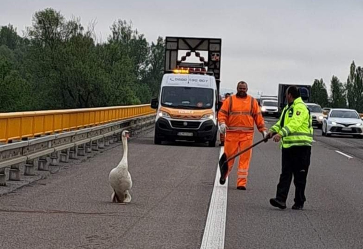 J. Ráž: Diaľničná patrola má po novom právo prednostnej jazdy | TVNOVINY.sk