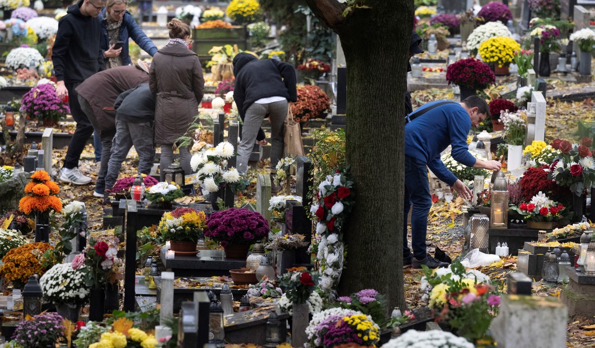 Prípad ako z hororu. Skupina lekárov vyberala kardiostimulátory z mŕtvol a vkladala ich ako nové ...