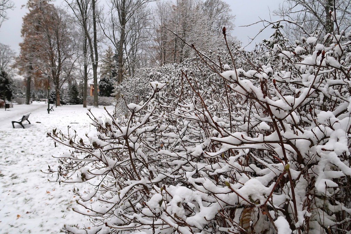 Zima sa na Slovensku opatrne rozbieha. V týchto oblastiach v ...