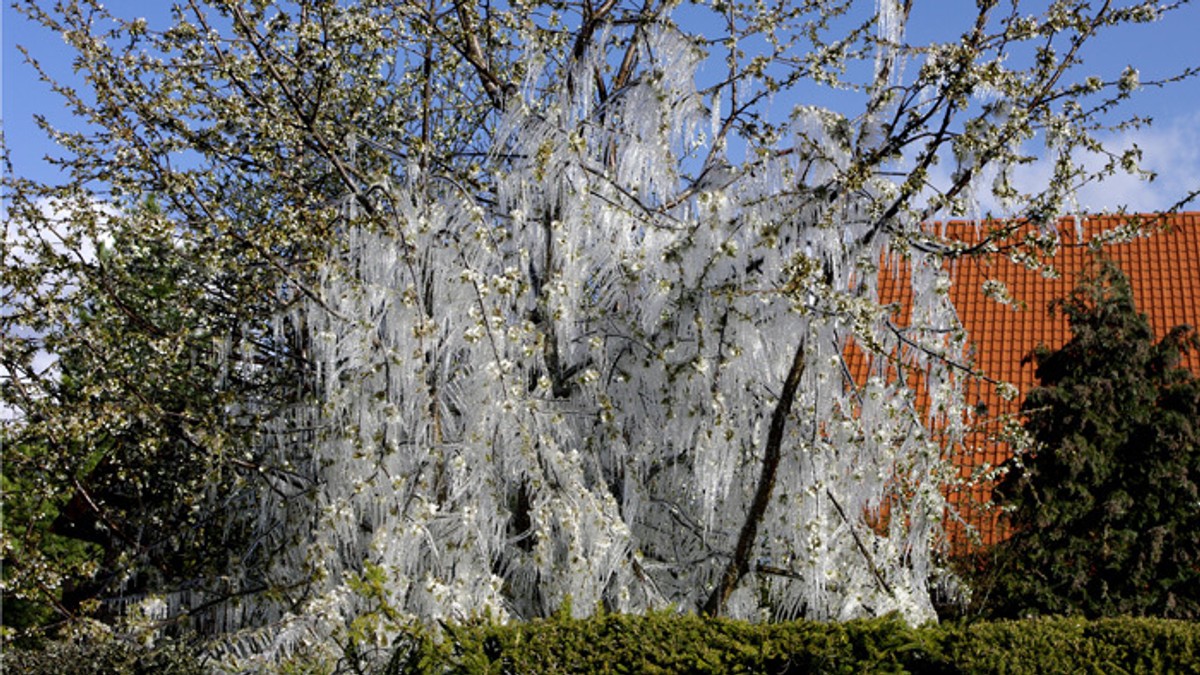 Jarné teploty vystriedali mrazy. Pozrite sa, kde bolo ráno ...