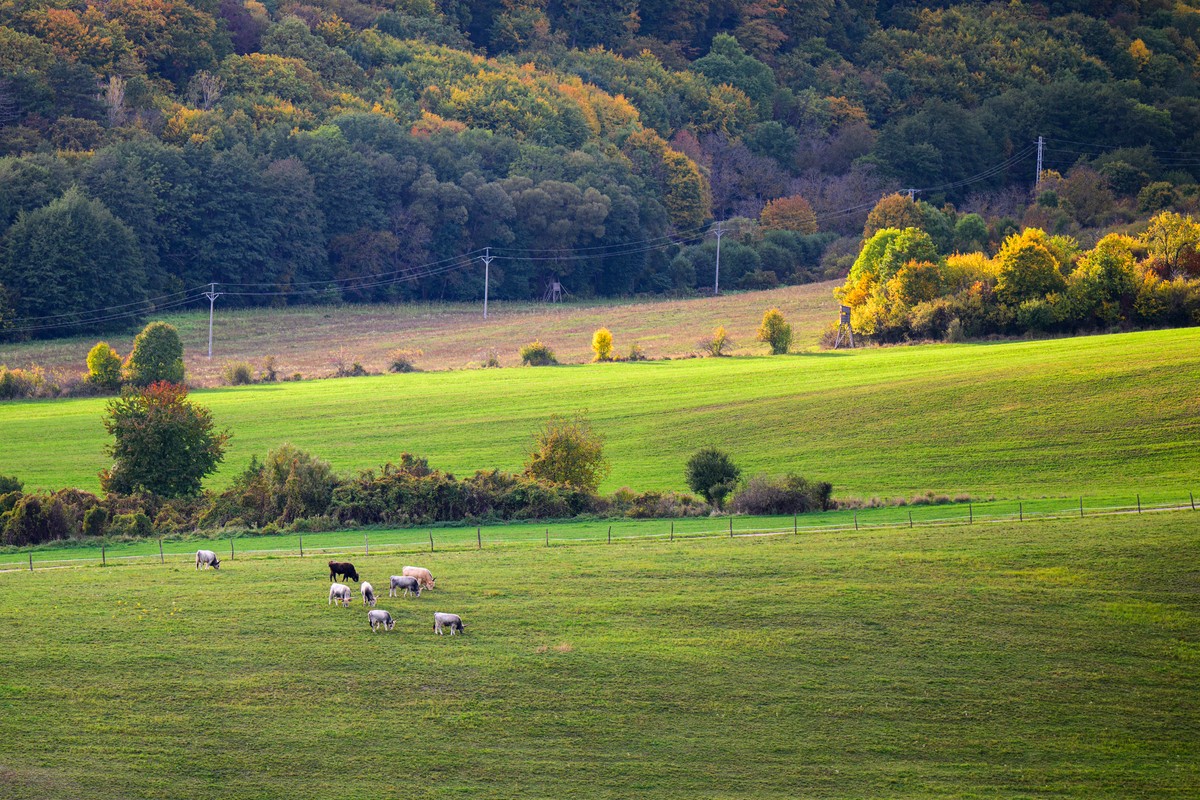 Pred nami je nezvyčajne teplý víkend. Môžu padnúť rekordy | TVNOVINY.sk