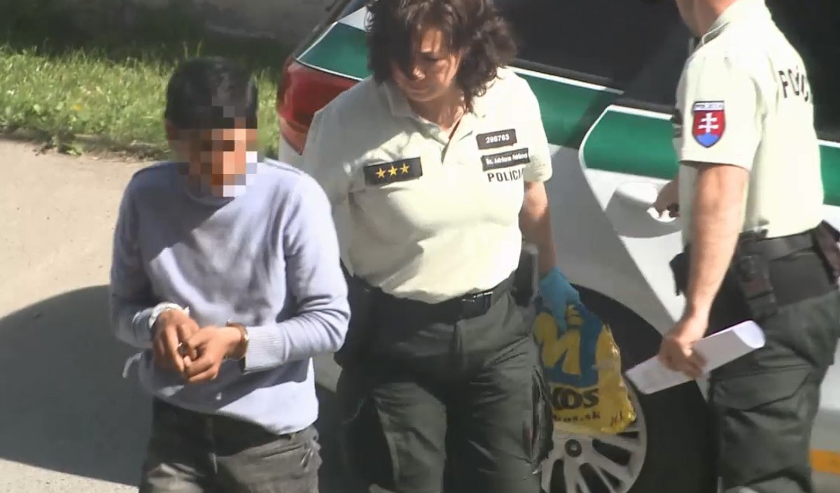 Chlapec, ktorý v obci Svinia znásilnil 4-ročné dievčatko, predstúpil ...