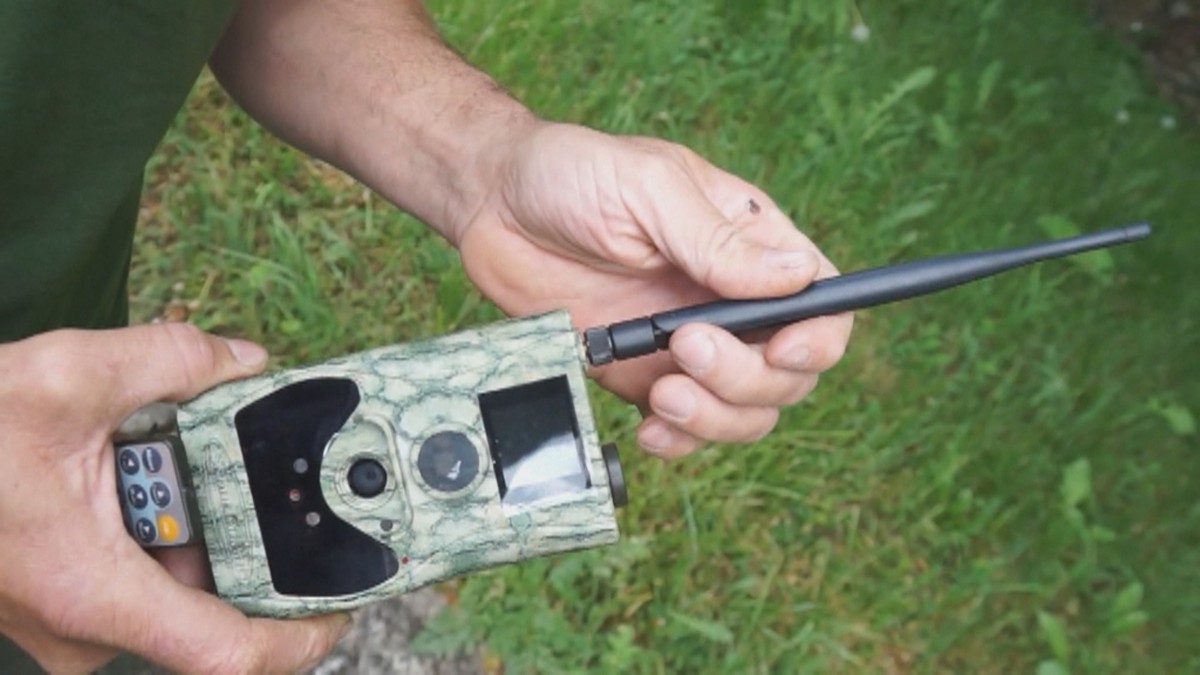 Prichytený pytliak chcel zničiť fotopascu. Veľmi mu to ale nepomohlo ...